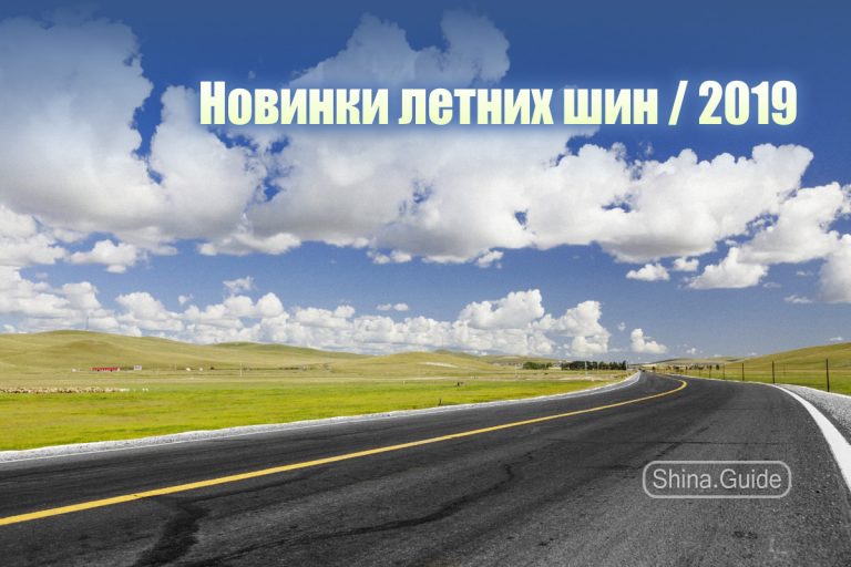 Michelin | Shina Guide