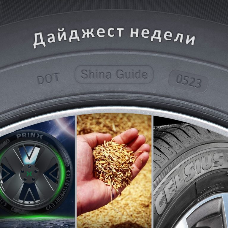 Prinx Aquila Pro | Shina Guide